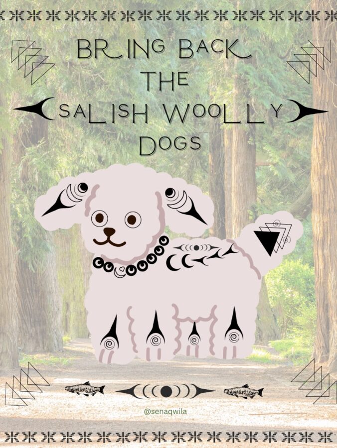 Senaqwila Wyss / Salish Woolly Dogs Fur-ever • The Capilano Review